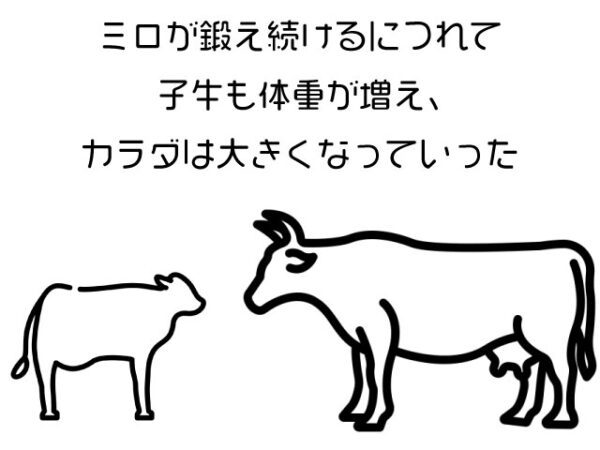 トレーニングの原理における『過負荷の原理』について解説・紹介 Honeycomb